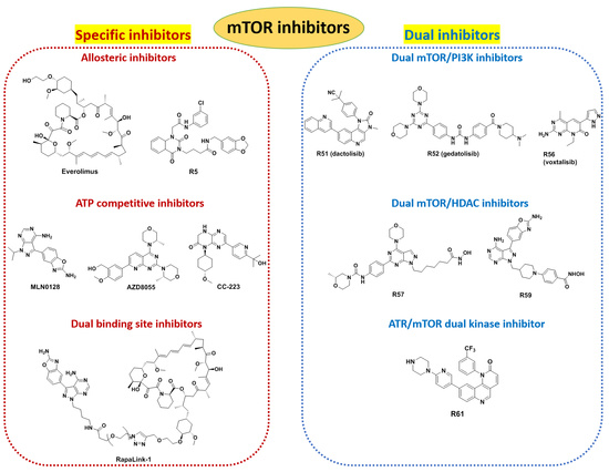 Molecules | Free Full-Text | Overview of Research into mTOR Inhibitors