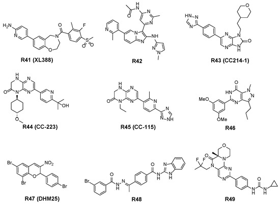 Overview of Research into mTOR Inhibitors