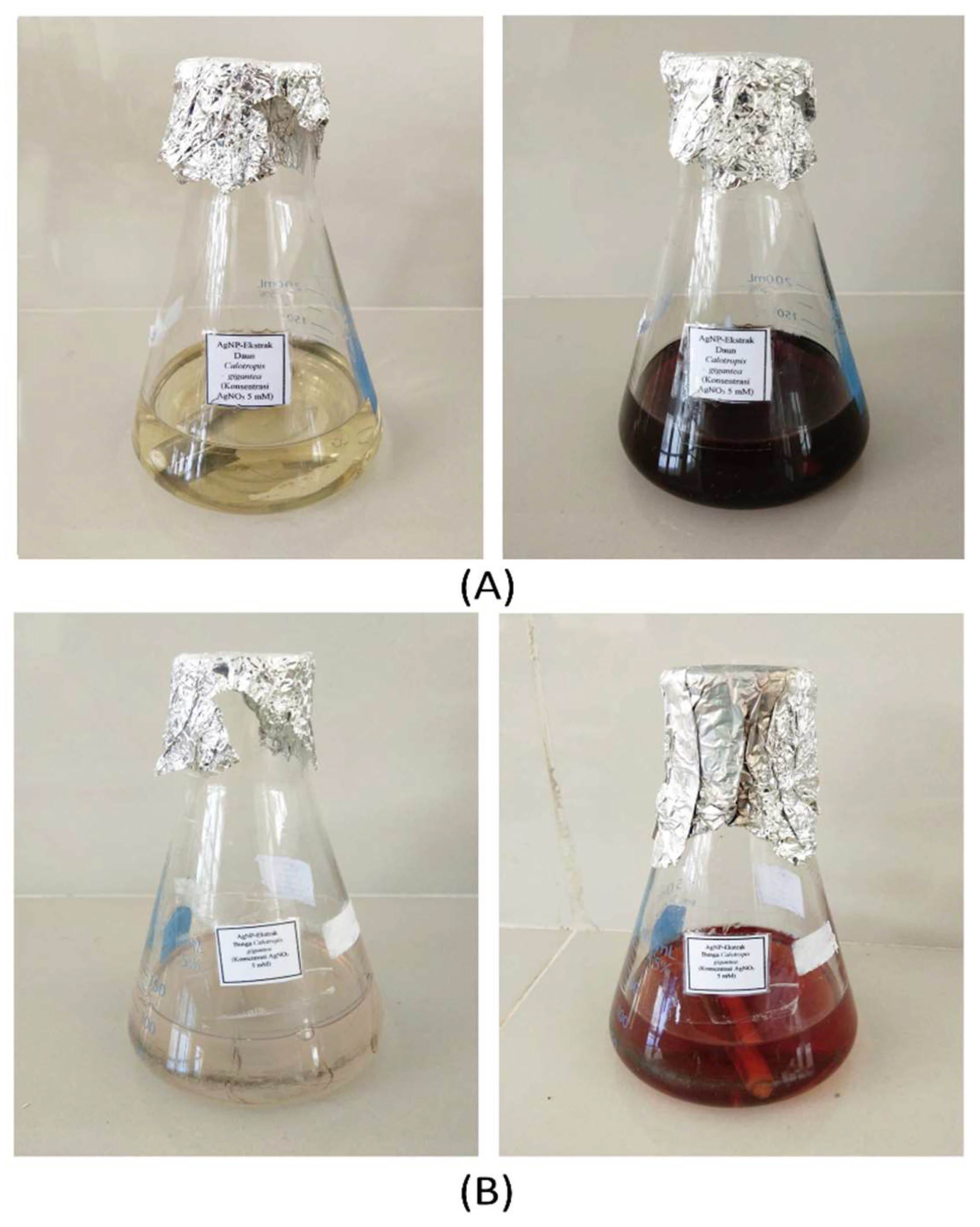 Molecules | Free Full-Text | Green Synthesis and Antimicrobial Activities of Silver ...