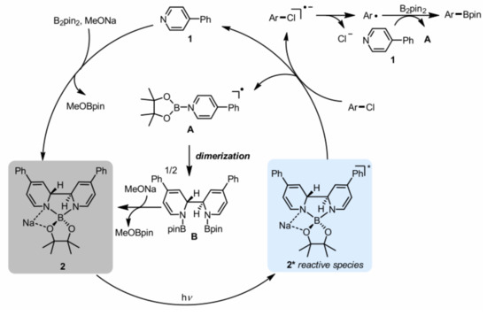 Visible-Light Photocatalytic Reduction of Aryl Halides as a Source of ...