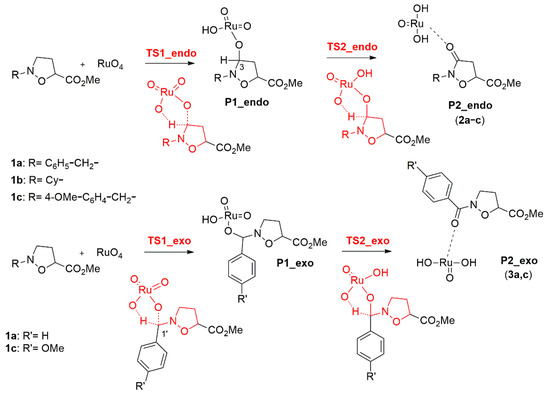 Chemoselective Oxidation of Isoxazolidines with Ruthenium Tetroxide: A ...