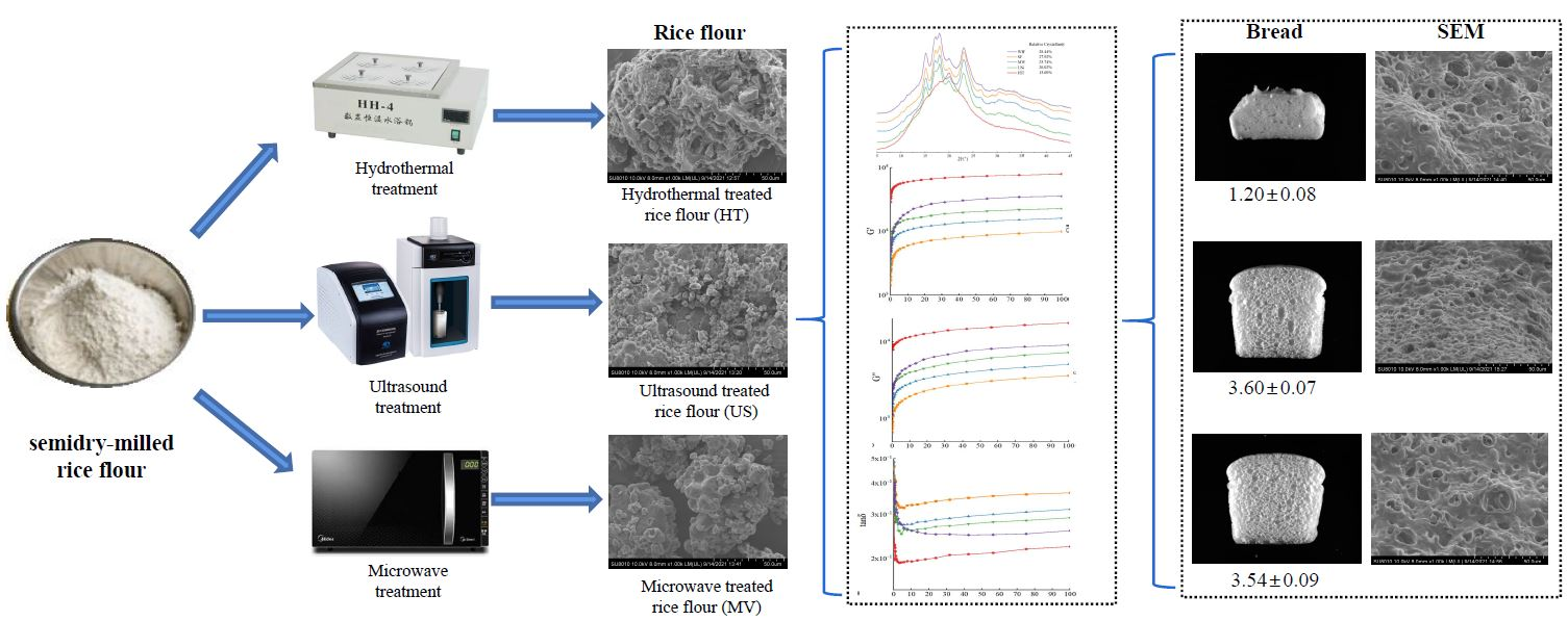 Molecules | Free Full-Text | Ultrasound Treatment Enhanced Semidry ...