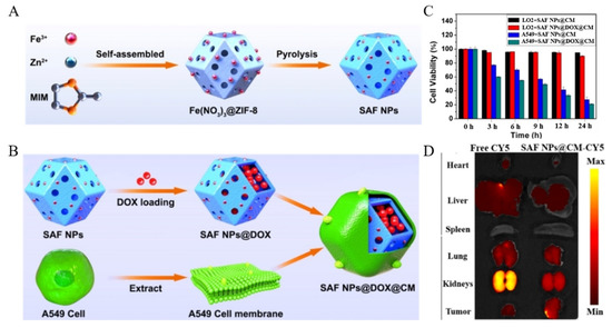 Single-Atom Nanozymes: Fabrication, Characterization, Surface ...