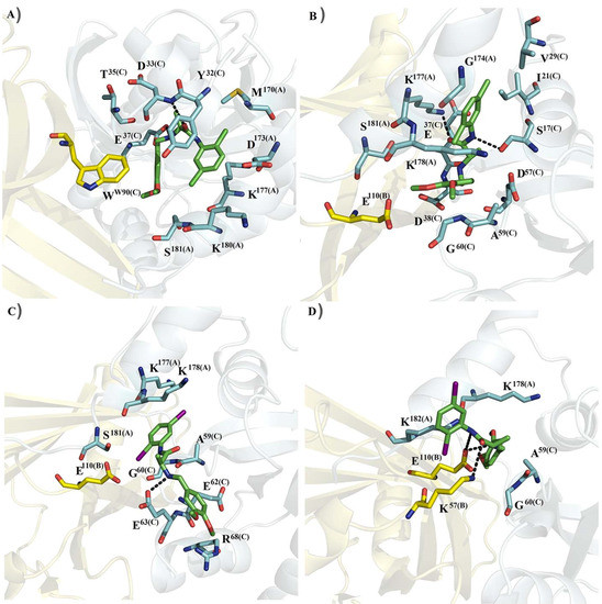 Molecules | Free Full-Text | 131I-C19 Iodide Radioisotope and Synthetic ...