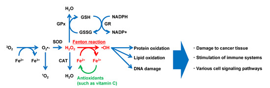 Current Use of Fenton Reaction in Drugs and Food