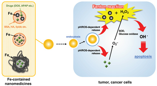 Current Use of Fenton Reaction in Drugs and Food