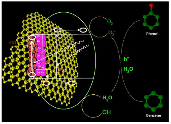 Recent Advances in the Heterogeneous Photocatalytic Hydroxylation of ...