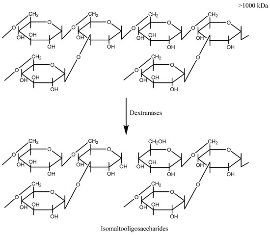 Marine Bacterial Dextranases: Fundamentals and Applications