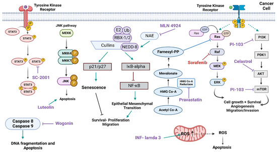 Molecules | Free Full-Text | Small Molecule Inhibitors for ...