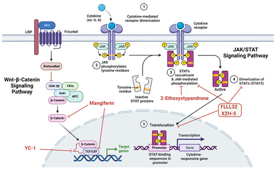 Molecules | Free Full-Text | Small Molecule Inhibitors for ...