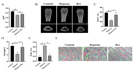 Resveratrol Ameliorates High Altitude Hypoxia-Induced Osteoporosis by ...