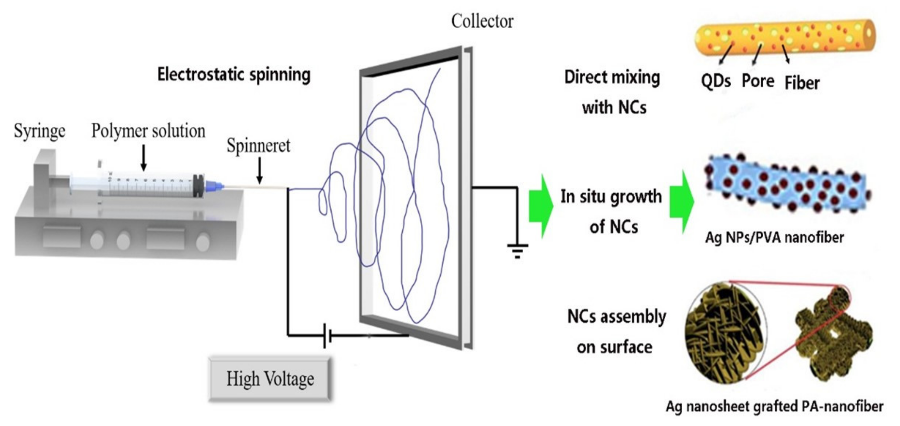 Advances in Electrostatic Spinning of Polymer Fibers Functionalized ...