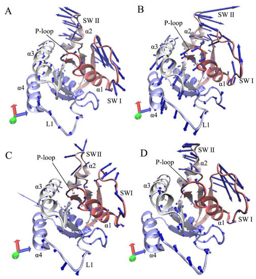 Deciphering Conformational Changes of the GDP-Bound NRAS Induced by ...