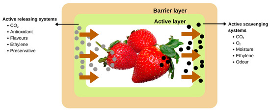 The Emergence of Edible and Food-Application Coatings for Food ...