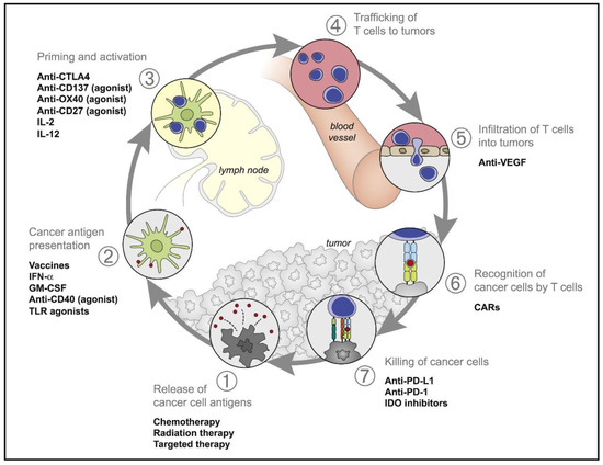 Lipid Nanoparticles for mRNA Delivery to Enhance Cancer Immunotherapy