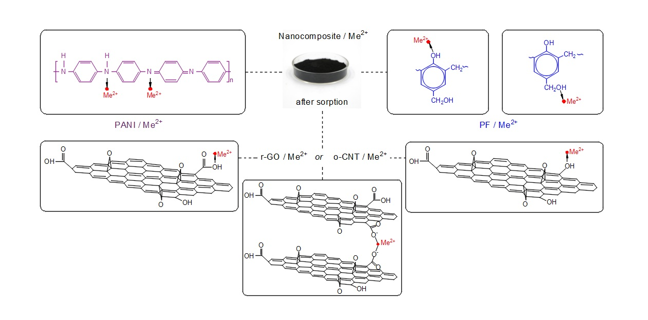 Molecules Free Full Text Polyaniline Modified Cnts And Graphene