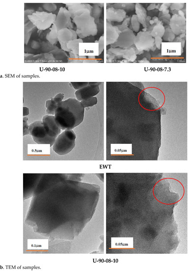 Synthesis of [B,Al]-EWT-Type Zeolite and Its Catalytic Properties