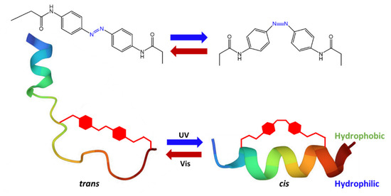 Azobenzene as Antimicrobial Molecules