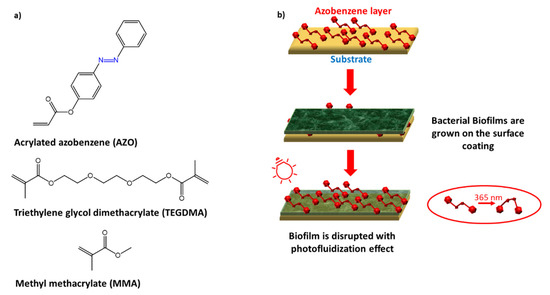 Azobenzene as Antimicrobial Molecules