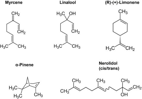 A Critical Evaluation of Terpenoid Signaling at Cannabinoid CB1 ...