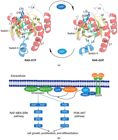 Molecules | Free Full-Text | Computer-Aided Drug Design Boosts RAS ...