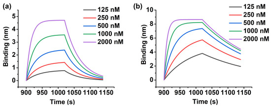 Evolution of Interferon-Gamma Aptamer with Good Affinity and Analytical Utility by a Rational In ...