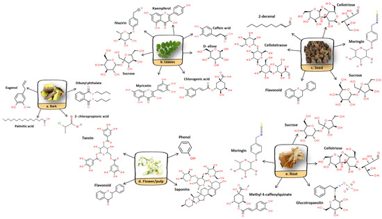 Molecules | Free Full-Text | A Comprehensive Review with Updated Future Perspectives on the ...