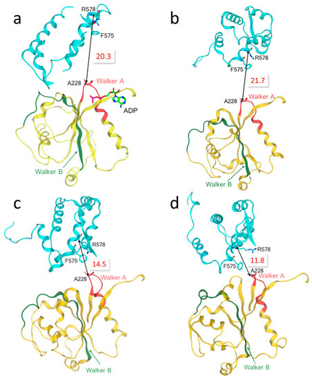 Assessment of AI-Based Protein Structure Prediction for the NLRP3 Target