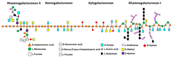 Acid Hydrolysis of Pectin and Mucilage from Cactus (Opuntia ficus) for ...