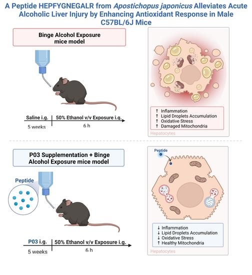 Molecules | Free Full-Text | A Peptide HEPFYGNEGALR from Apostichopus ...