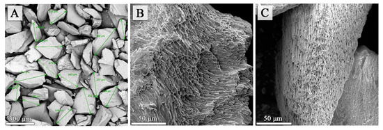 Physicochemical Properties and Surface Characteristics of Ground Human ...