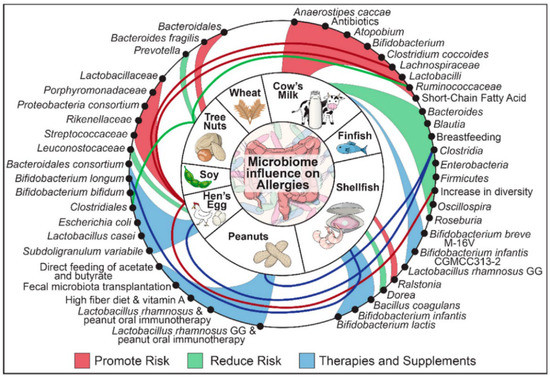 Comprehensive Analysis of the Structure and Allergenicity Changes of ...