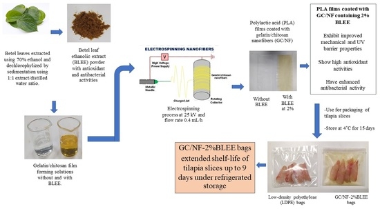 Molecules | Free Full-Text | Polylactic Acid Film Coated with Electrospun Gelatin/Chitosan ...