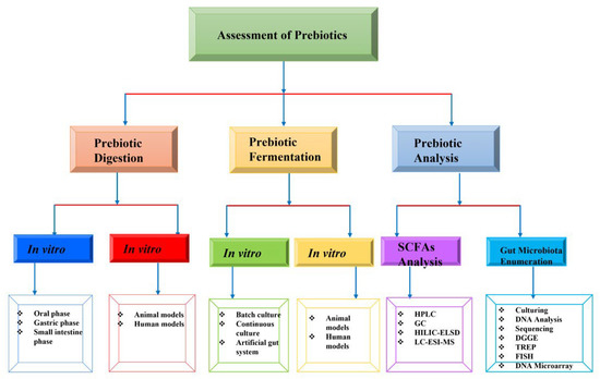Molecules | Free Full-Text | An Updated Review on Prebiotics: Insights ...