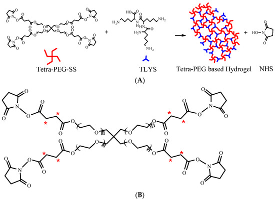 Metabolic Study of Tetra-PEG-Based Hydrogel after Pelvic Implantation ...