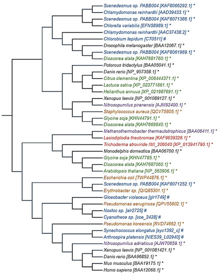 Photolyase Production and Current Applications: A Review