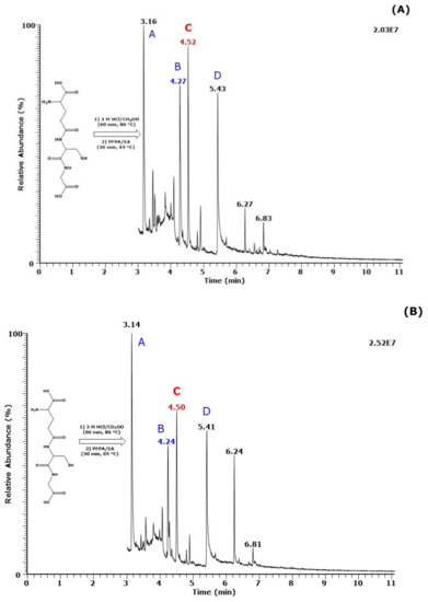 GC-MS Studies on the Conversion and Derivatization of γ-Glutamyl ...