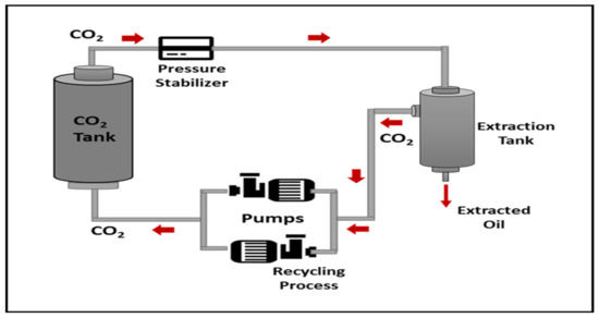 Characterization of Bioactive Compounds from Patchouli Extracted via ...