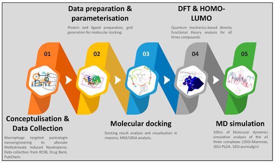 Macrophage-Targeted Punicalagin Nanoengineering to Alleviate Methotrexate-Induced Neutropenia: A ...