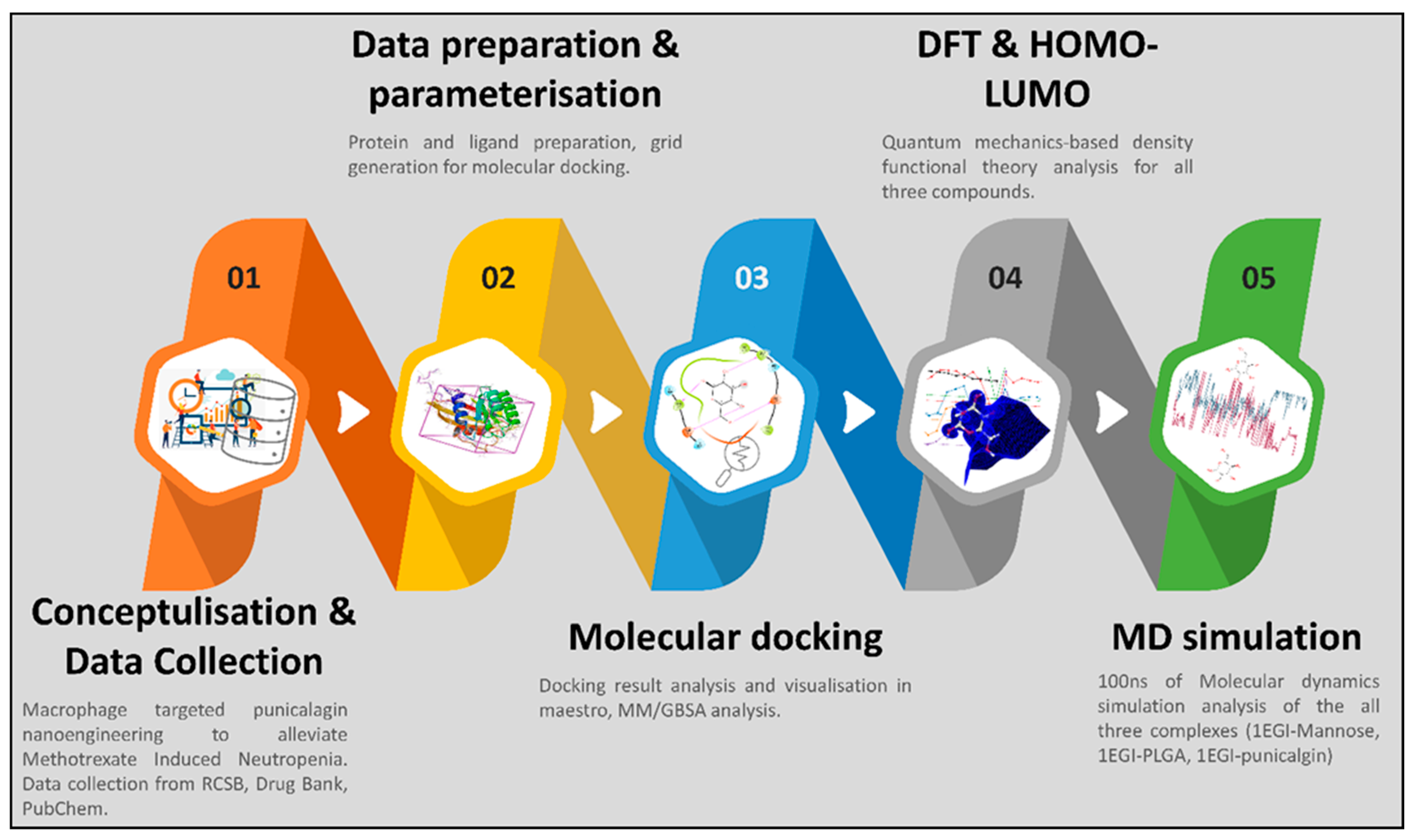 Macrophage-Targeted Punicalagin Nanoengineering to Alleviate Methotrexate-Induced Neutropenia: A ...