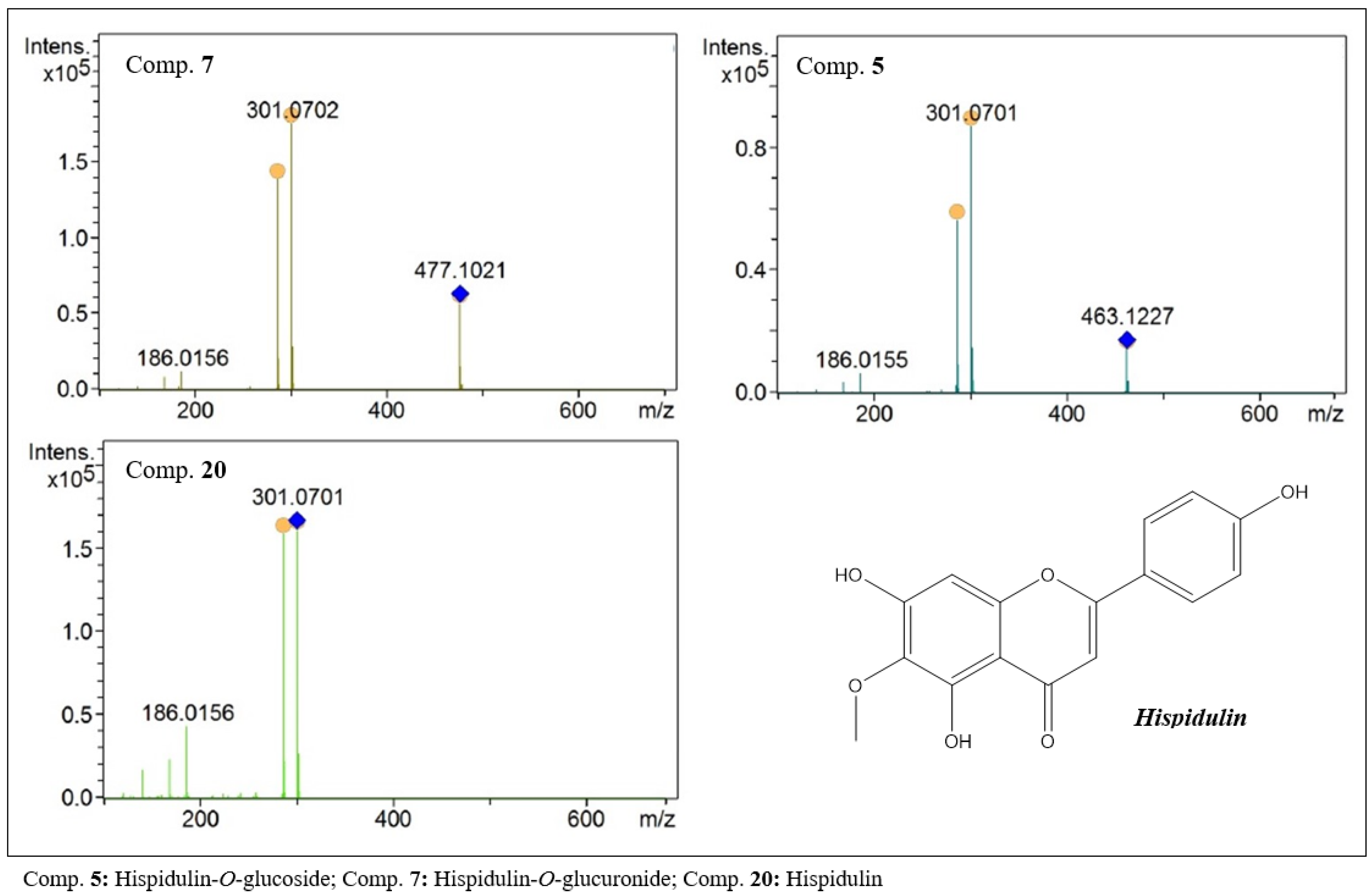 High-Resolution Mass Spectrometry Identification and Characterization ...