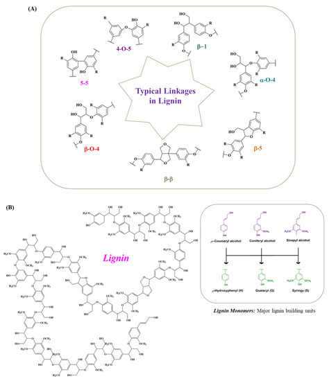 Molecules | Free Full-Text | Recent Advancements and Challenges in Lignin Valorization: Green ...
