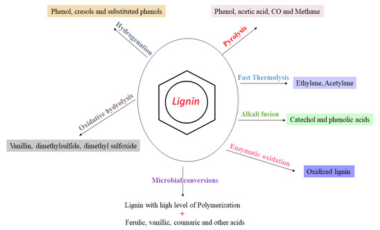 Molecules | Free Full-Text | Recent Advancements and Challenges in Lignin Valorization: Green ...