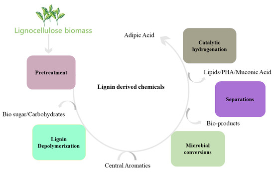 Molecules | Free Full-Text | Recent Advancements and Challenges in Lignin Valorization: Green ...