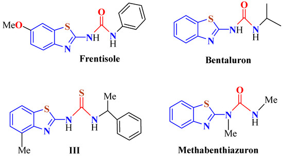 Synthesis and Biological Importance of 2-(thio)ureabenzothiazoles
