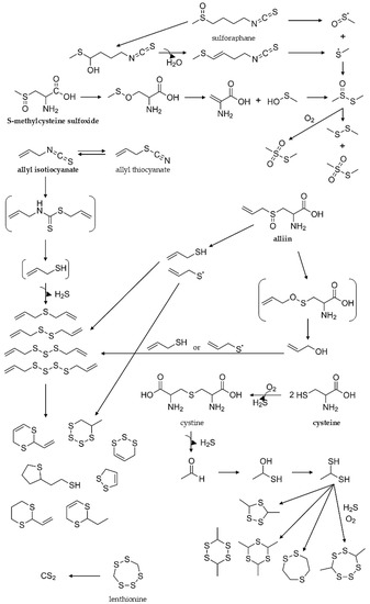 Role of Sulfur Compounds in Vegetable and Mushroom Aroma