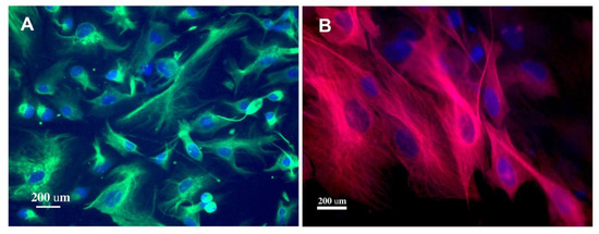 Protective Effects of a Polyphenol-Rich Blueberry Extract on Adult ...