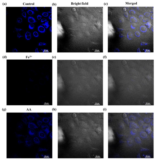 Fluorine-Nitrogen-Codoped Carbon Dots as Fluorescent Switch Probes for Selective Fe(III) and ...