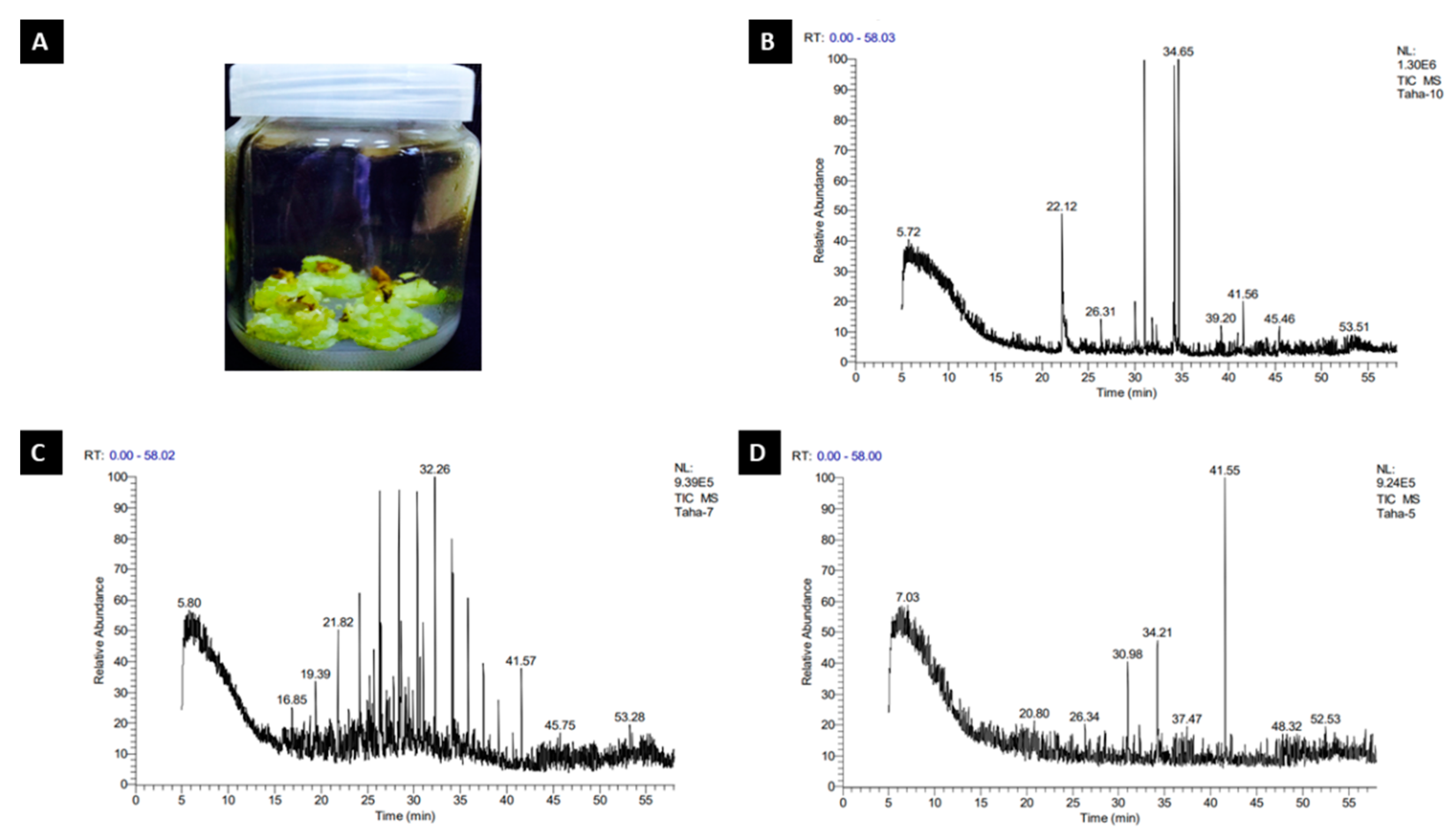 Evaluation of the Anti-Cancer Potential of Rosa damascena Mill. Callus ...