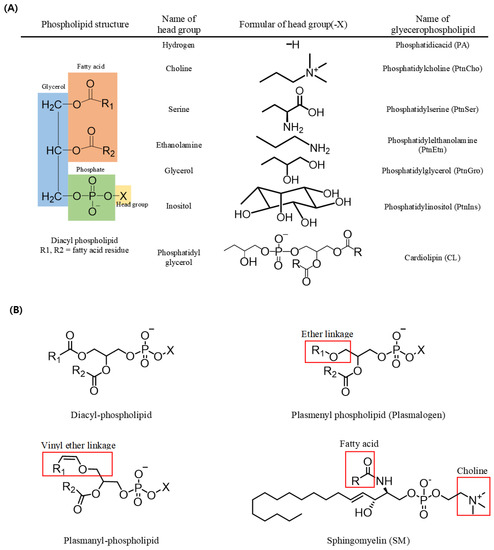 Compositional Study of Phospholipids from the Dried Big Head and ...